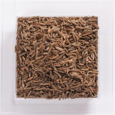 Kmín český celý 50 g | Od Kulináře